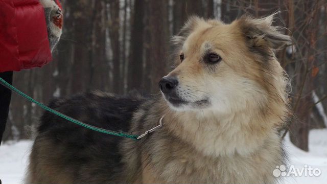 Добрый Мишка - обожает детей