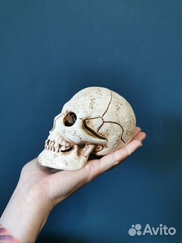 Череп керамический для аквариума