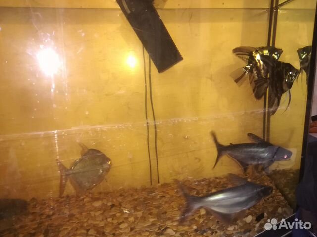 Подводной мир