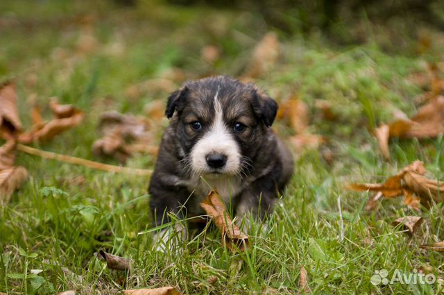 Серьезный мужичок