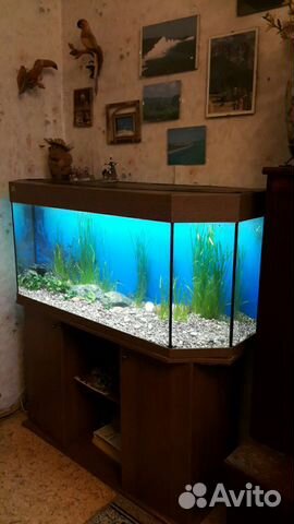 Аквариум 230л juwel