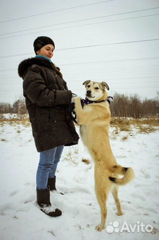 Малышка Флёр в заботливую семью