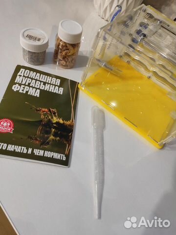 Муравьиная ферма