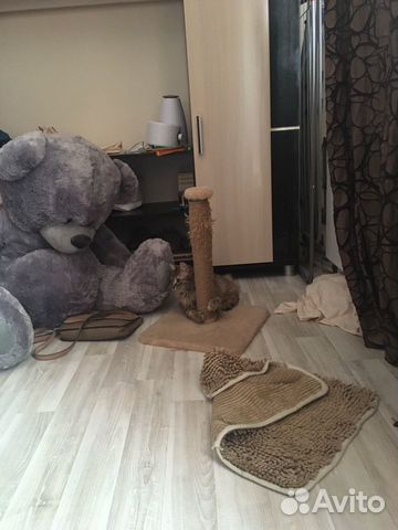 Отдам в хорошие лапки