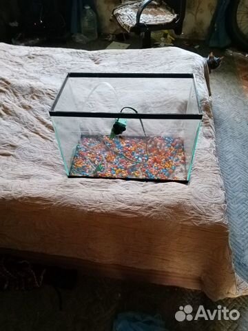 Аквариум(45литров)