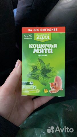 Кошачья мята