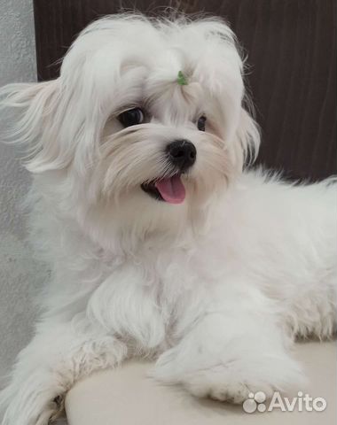 Самый обаятельный и привлекательный малыш