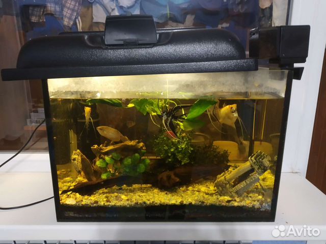 Аквариум и всё комплектующие