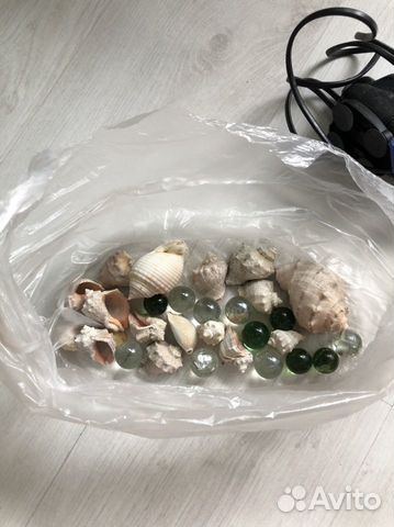 Ракушки для аквариума