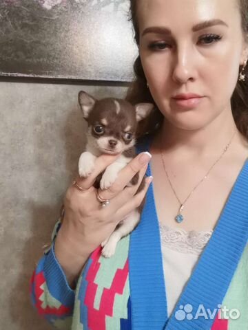 Мини Шоко мальчик