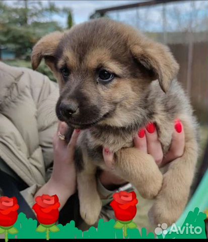 Кукляша маленького размера