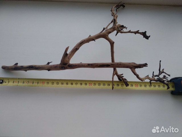 Коряга в аквариум