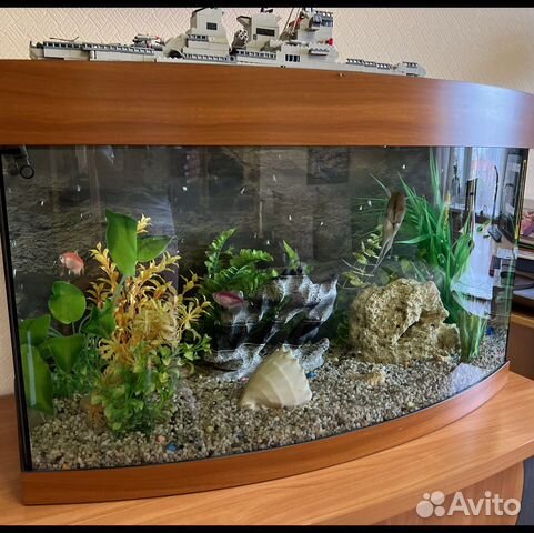 Аквариум, рыбки, оборудование