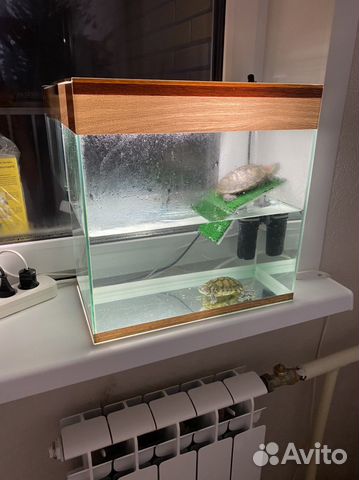 Аквариум с 2мя красноухими черепахами
