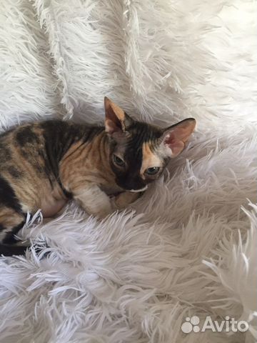 Чудо-чудное