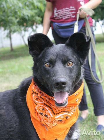 Грант - ваш верный друг