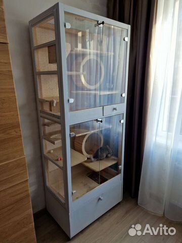 Шиншиллы с витриной