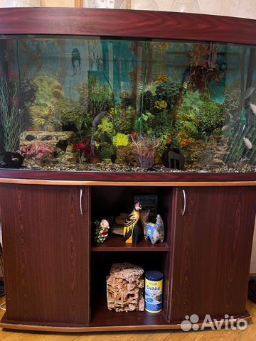 Аквариум