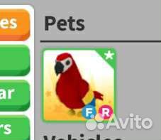 Попугай адопт ми adopt roblox