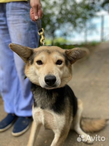 Крошка очень хочет домой