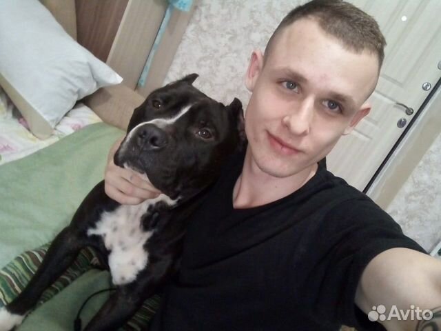 Отдам в добрые руки