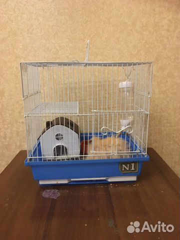 Хомяк с клеткой и со всеми принодлежностями