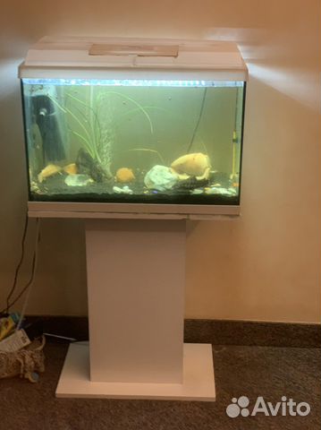 Аквариум 60литров