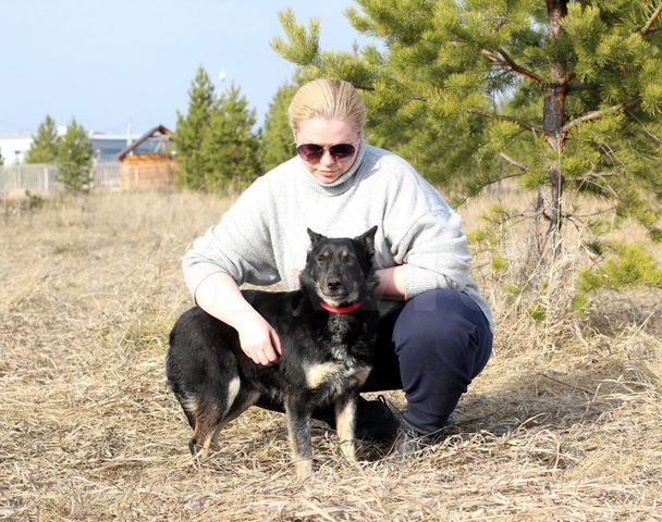 Золотая девочка Буся, любовь и преданность в дар