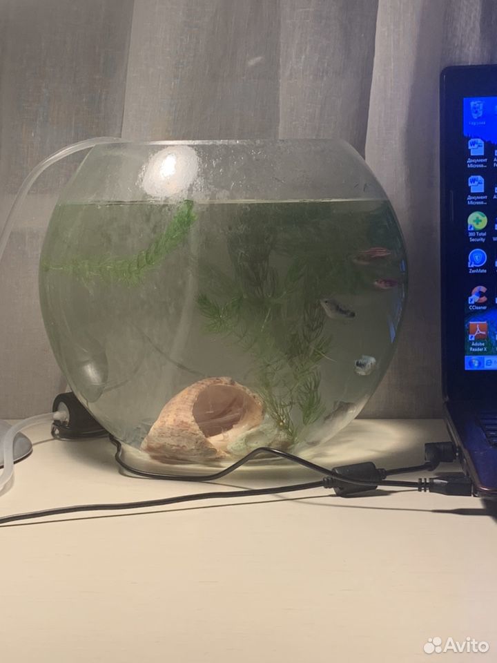 Круглый аквариум на 7,5л